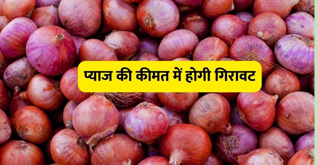Onion Price : आखिरकार केंद्र सरकार ने लिया बड़ा फैसला; प्याज की कीमत ...